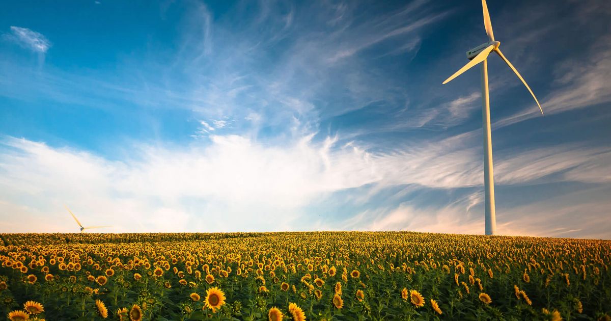 Green Giraffe (GGEB) GmbH - Renewable Energies Hamburg | EEHH