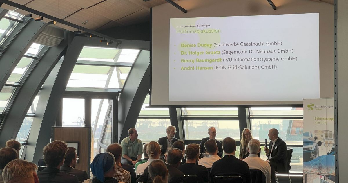 Smart Metering made in Germany: Zwischen Vorreiterrolle und Aufholbedarf - Erneuerbare Energien ...